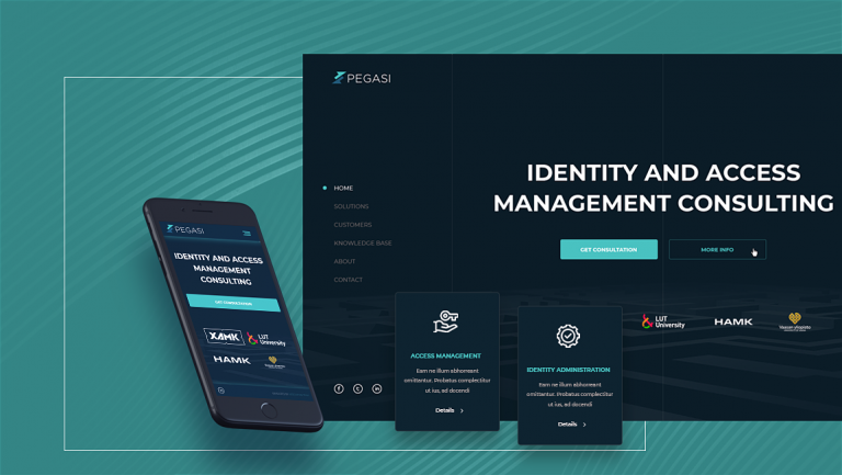 Webcapitan Portfolio - Professional Web Development Company